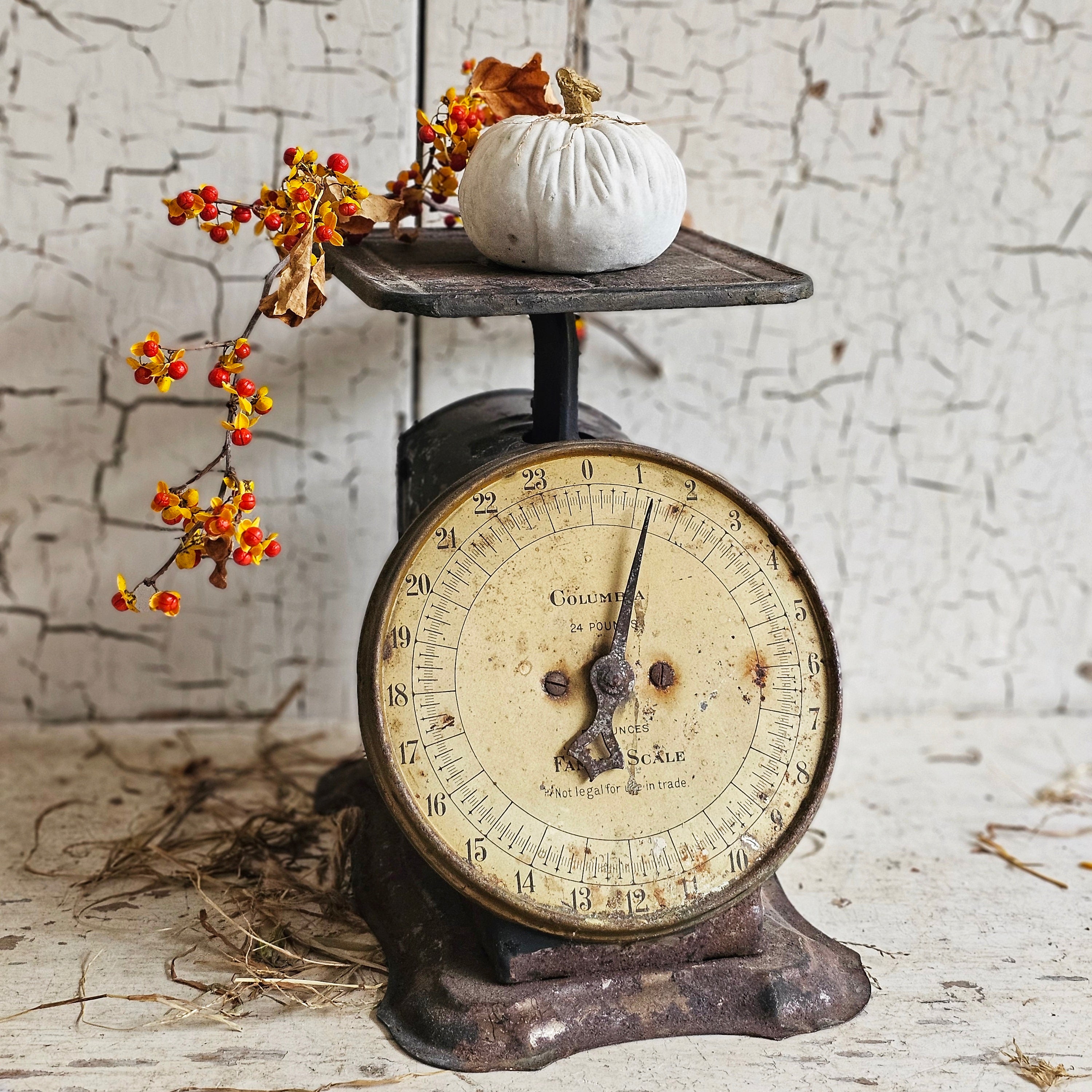 Chippy Black Metal Columbia Family Scale – Olde Tyme Marketplace