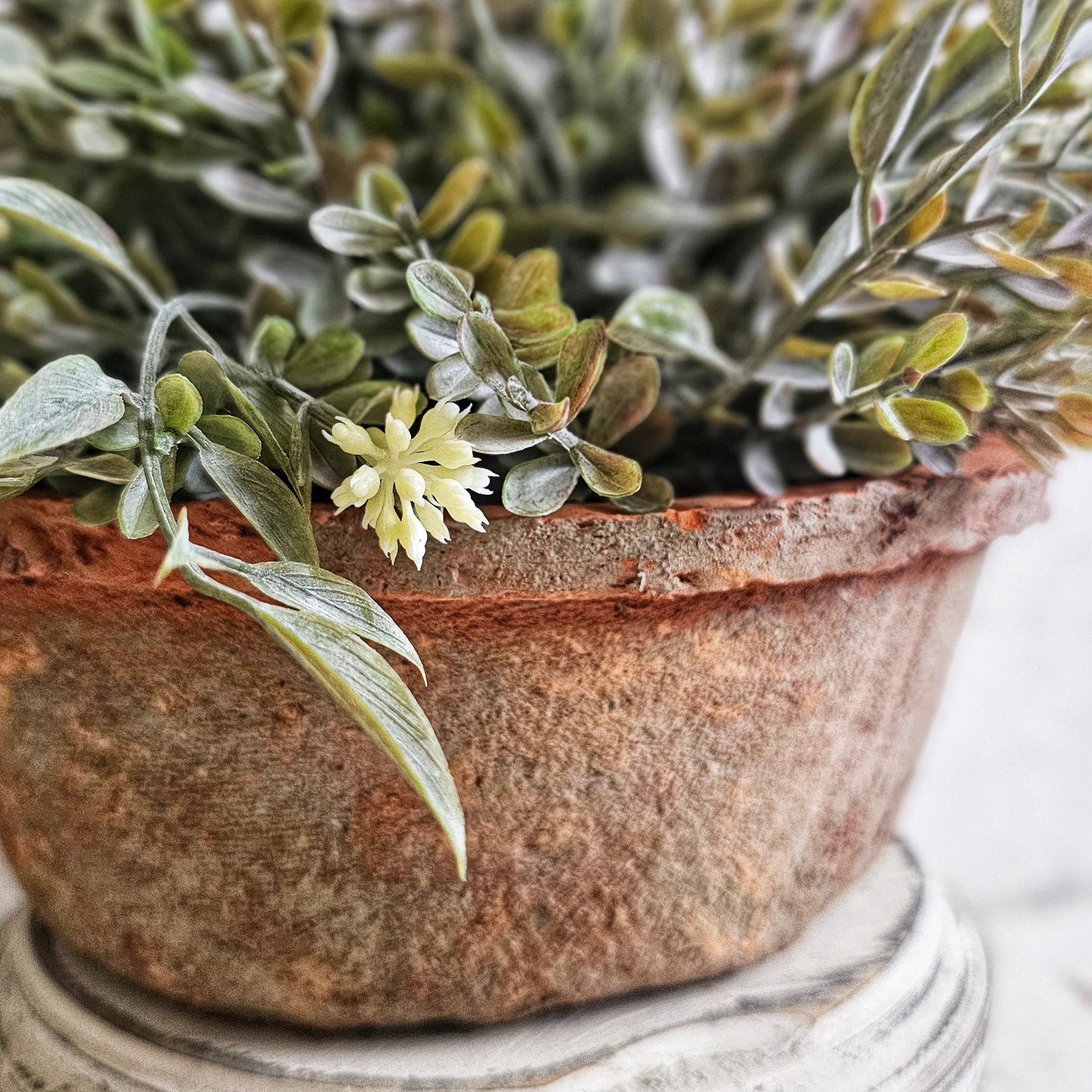 8 inch Rustic Terra Cotta Round Bulb Planter – Olde Tyme Marketplace